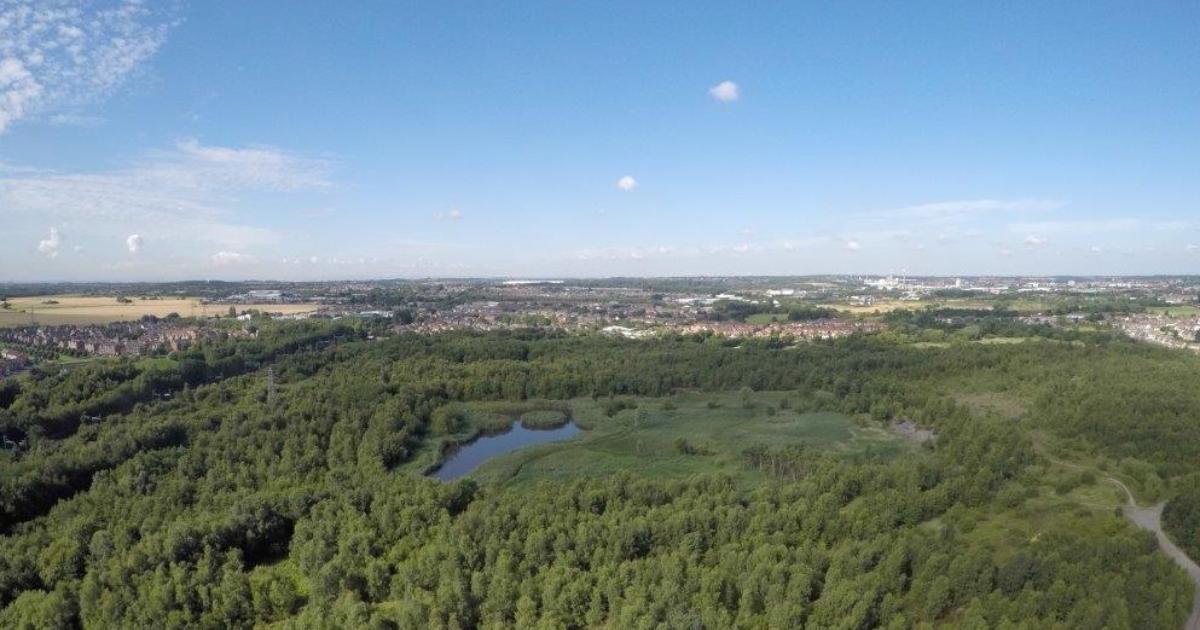 30-year Mersey Forest Partnership renewed with future forest plans - St ...